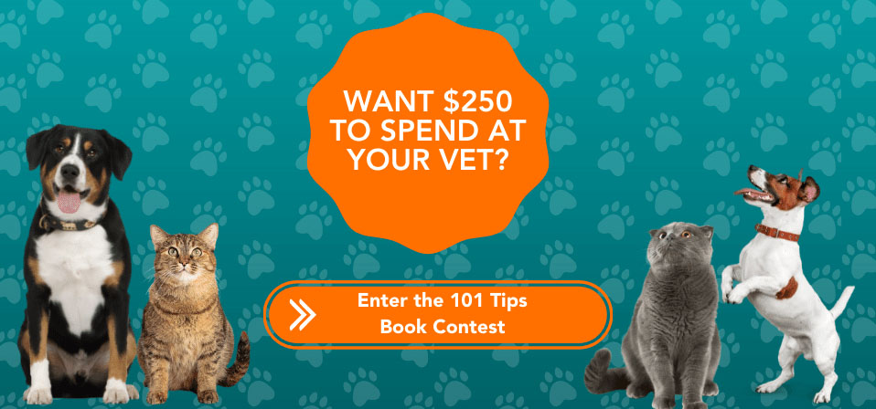 101 Essential Tips | Web-Books